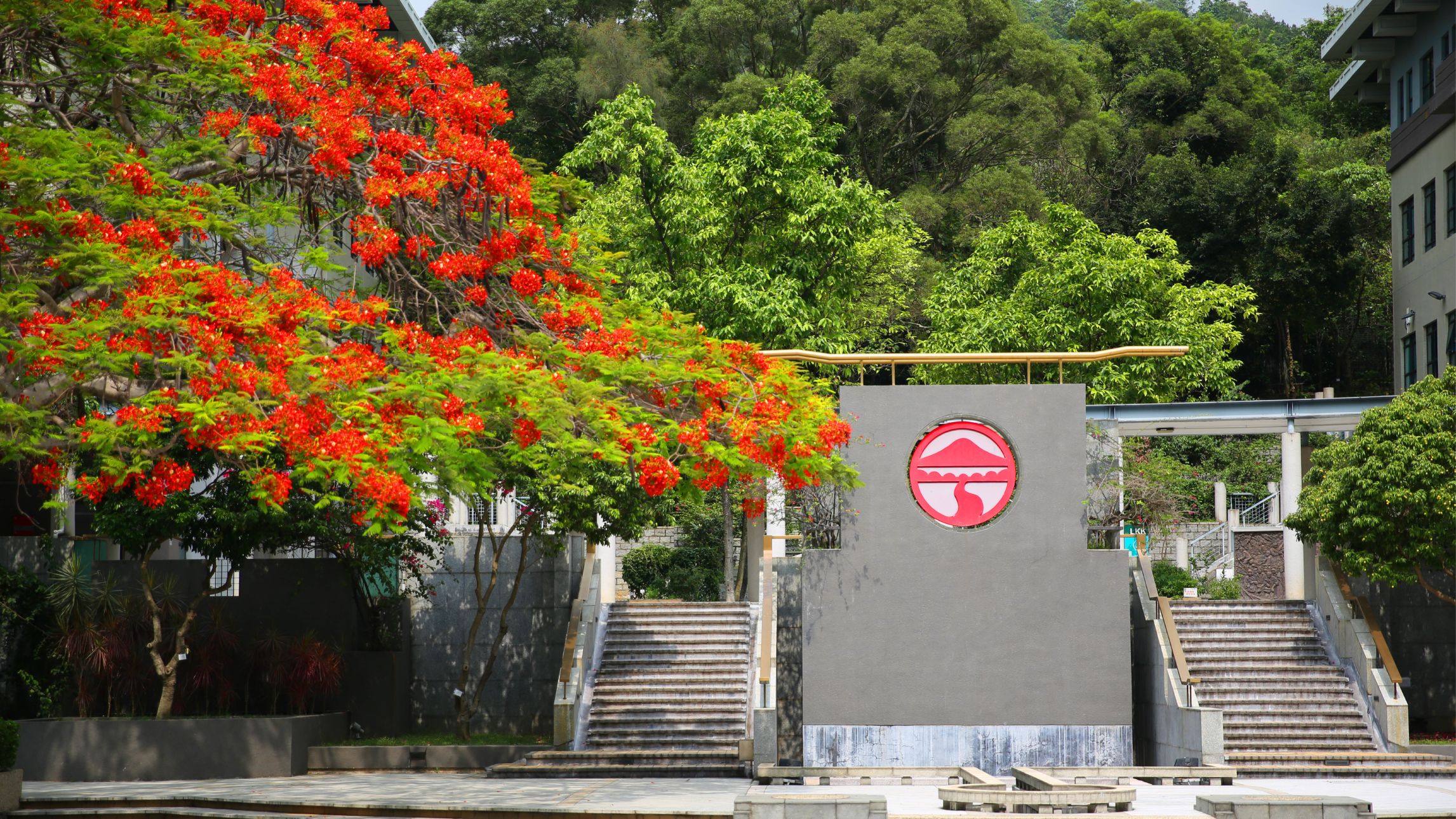 Inside Lingnan University’s liberal arts education for the digital era ...